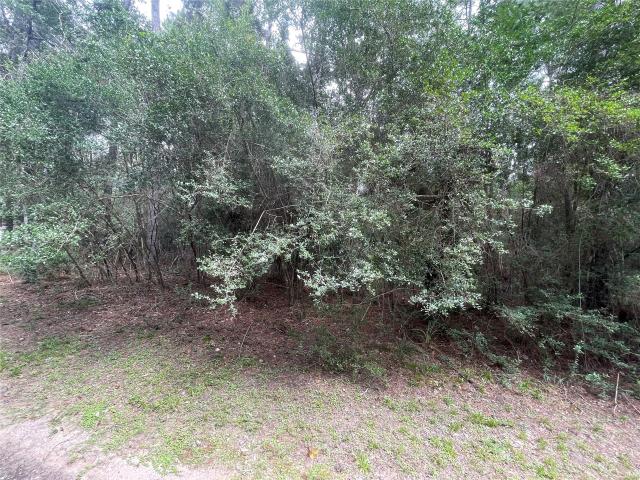 0 Corolla Rd, Montgomery, TX 77316 | MLS #83116