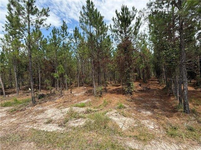 0 Corbitt Rd Lot 4, GA 31550