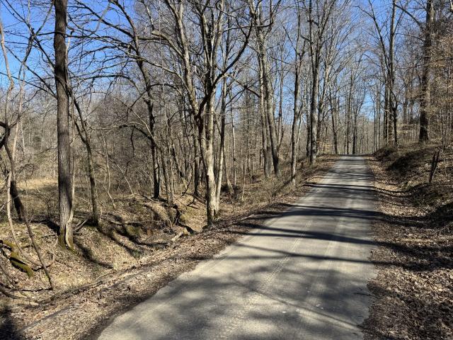 0 Corlew Rd, Charlotte, TN 37036 | MLS #3261