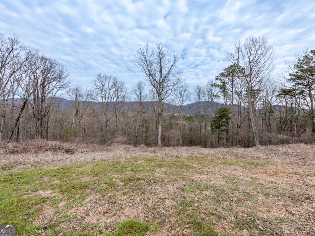 0 Cowart Mountain Tract 2 Rd, Jasper, GA 30143 | MLS #10675 | Compass