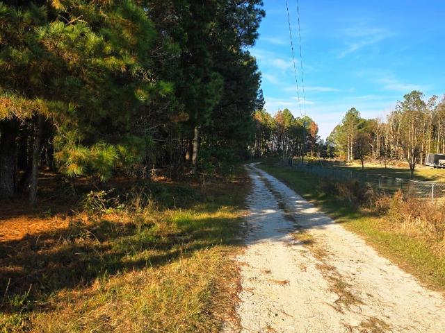 0 Cowboys Trail