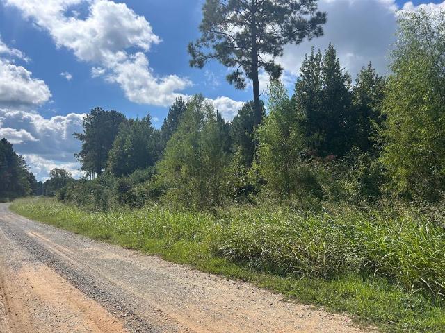 0 Cottonwood, Frierson, LA 71027 | MLS #21070