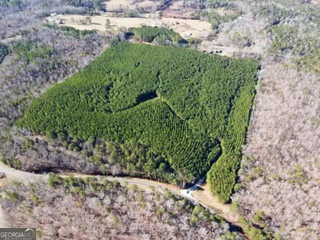 0 COUNTY RD 99, GAYLESVILLE, TN 37087 Vacant Land For Sale ML.