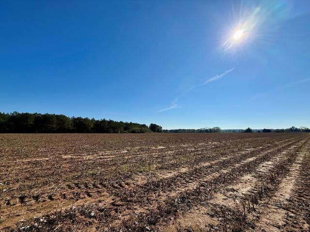 0 County Rd 238