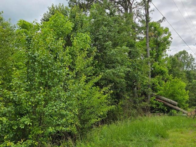 0 County Rd, Unit 101, Riceville, TN 37370 | MLS #1512 | Compass