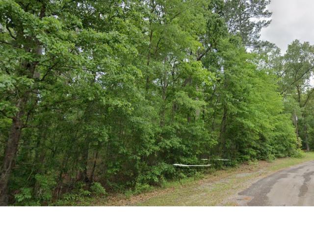 0 County Road 071, Jasper, TX 75951 | MLS #80009 | Compass