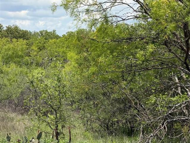 0 County Road 149, Brownwood, TX 76801 | MLS #21224 | Compass