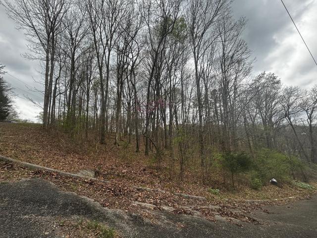 0 County Road 197