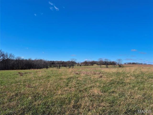 0 County Road 197, Montgomery City, MO 63361 | MLS #26022