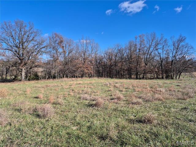 0 County Road 197, Montgomery City, MO 63361 | MLS #26022