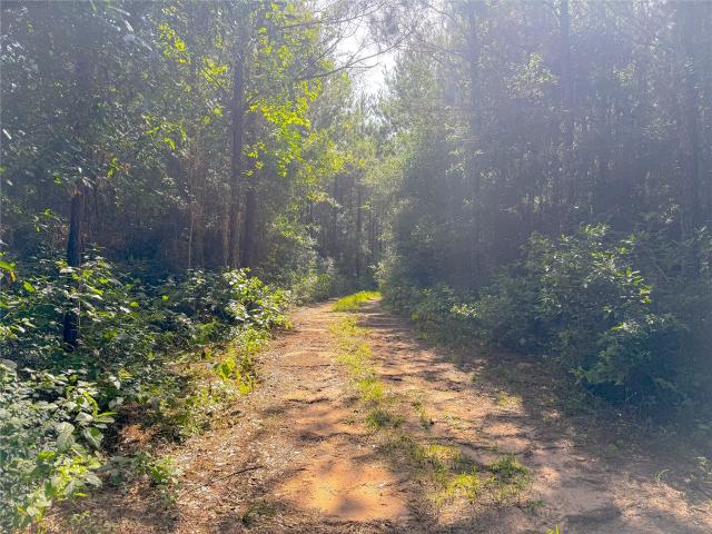 0 County Road 2650, Livingston, TX 77351 | MLS #17256