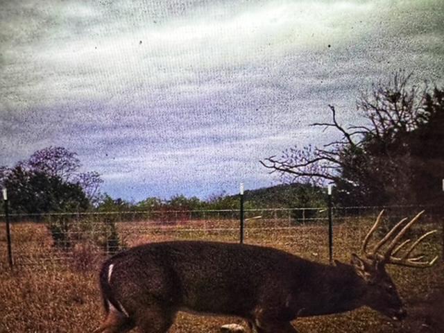 0 County Road 2699, Lometa, TX 76853 | MLS #1358
