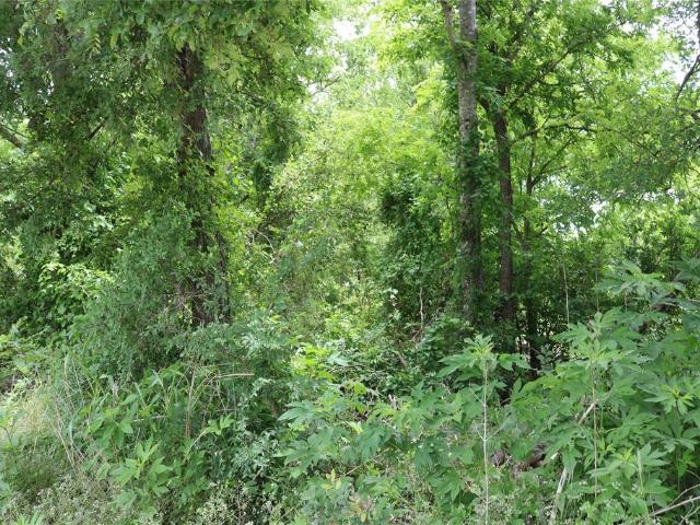 0 County Road 282