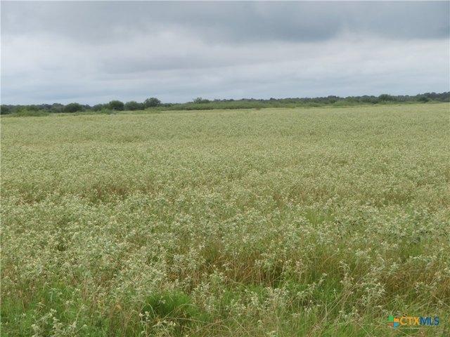 0 County Road 284, Edna, TX 77957