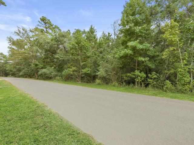 0 County Road 201 Loop, Plantersville, TX 77363 | MLS #23750 | Compass