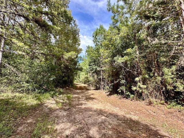 0 County Road 2065