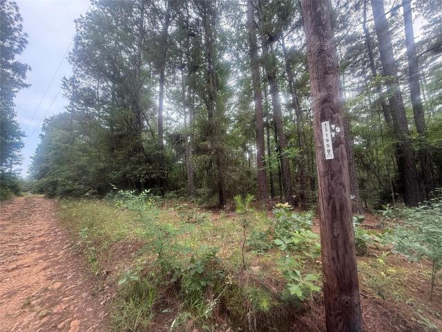0 County Road 2135, Crockett, TX 75835 | MLS #77838