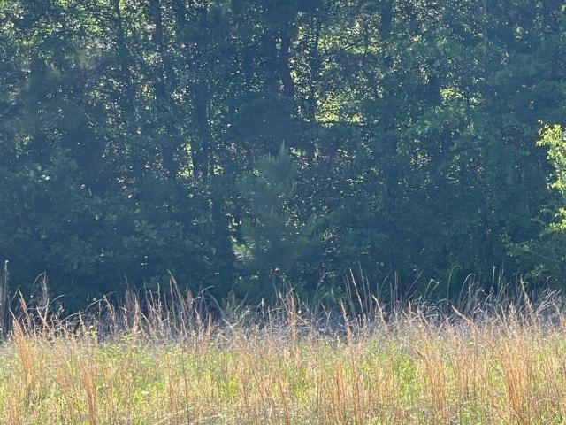 0 County Road 2138, Troup, TX 75789 | MLS #26010