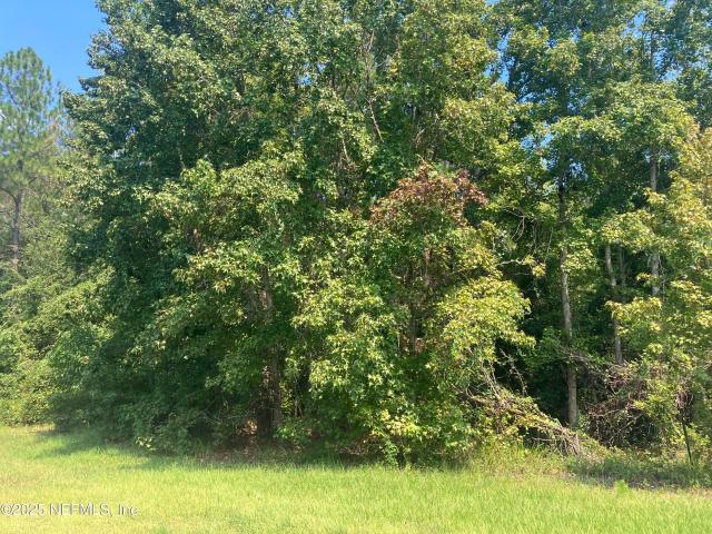 0 County Road 217, Middleburg, FL 32068 | MLS #2108 | Compass