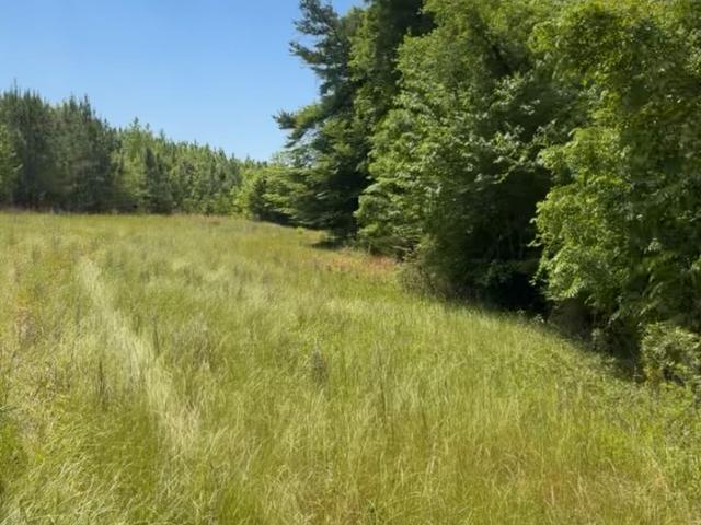 0 County Road 231