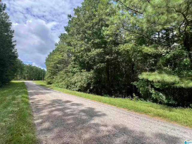 0 COUNTY ROAD 340 # 7, WOODLAND, AL 36280