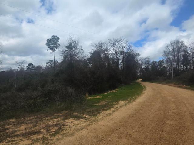 0 County Road 351 # 1