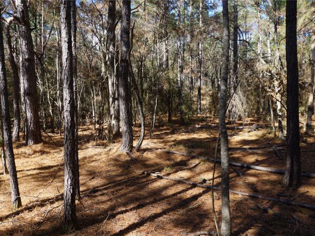 0 County Road 352
