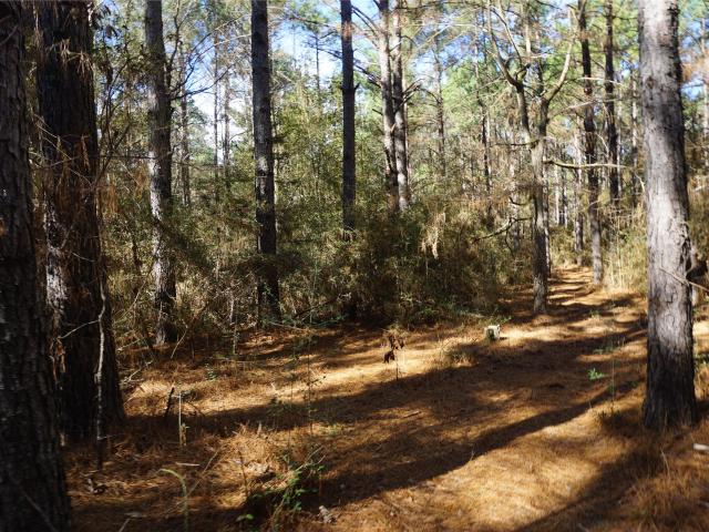 0 County Road 352, Palestine, TX 75803 | MLS #28697 | Compass