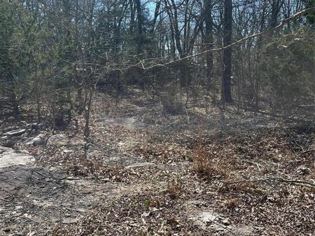 0 County Road 3605