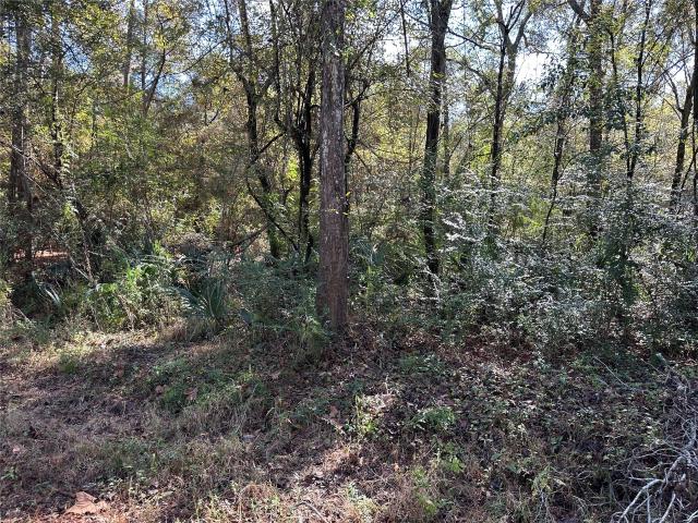 0 County Road 3612