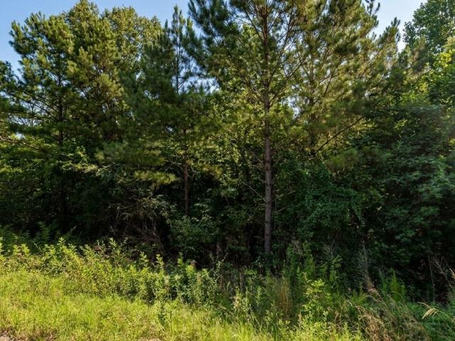 0 County Road 367 LOT 52