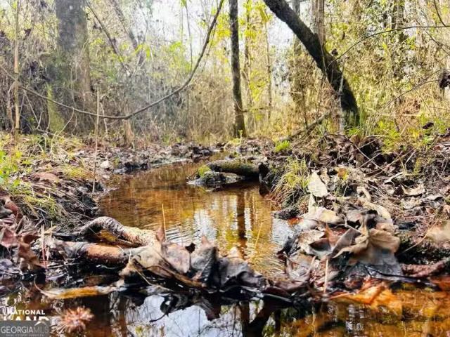 0 COUNTY ROAD 36, EUFAULA, AL 36027 Vacant Land For Sale MLS#.