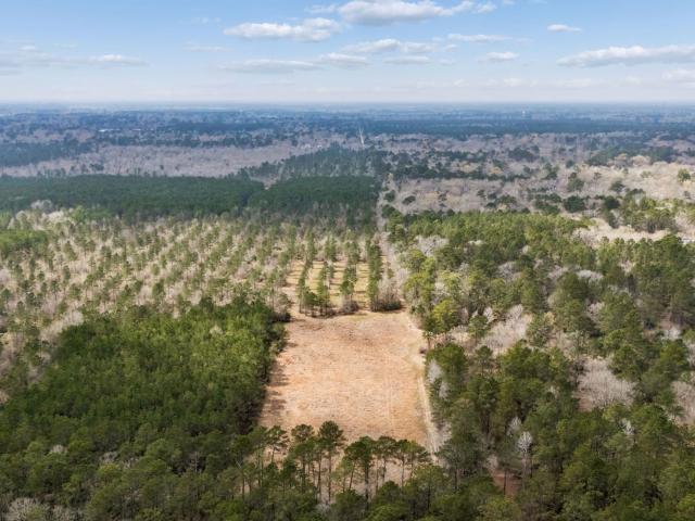 0 County Road 3704B