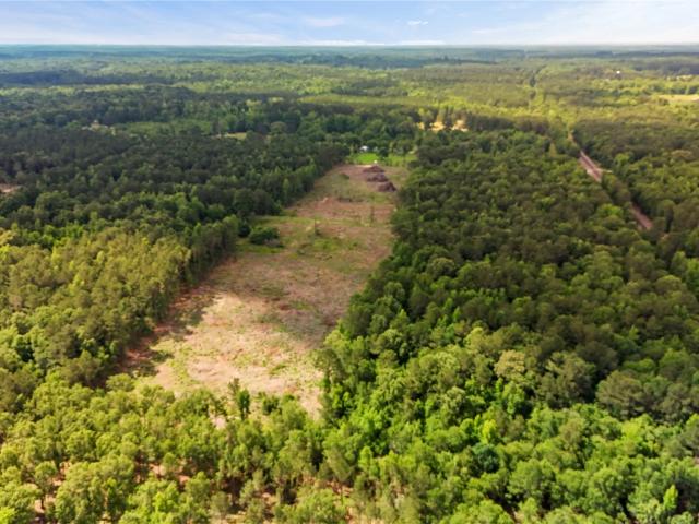 0 County Road 3993