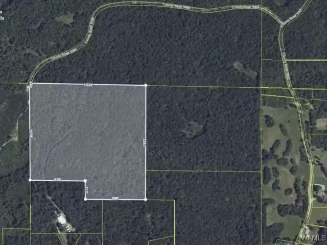 0 COUNTY ROAD 3068, DOUBLE SPRINGS, AL 35553 Vacant Land For S.