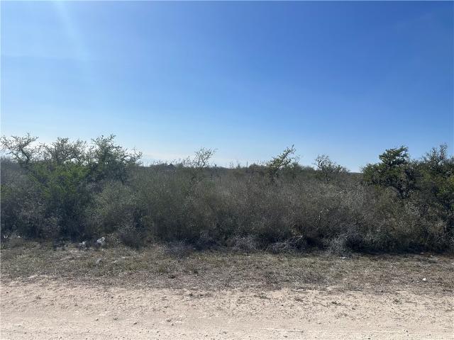 0 County Road 3083, Orange Grove, TX 78372 | MLS #472304 | Compass