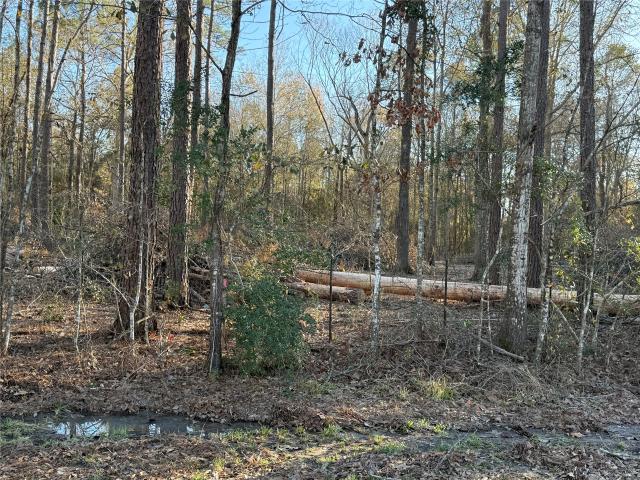0 County Road 308, Cleveland, TX 77327 | MLS #52686 | Compass