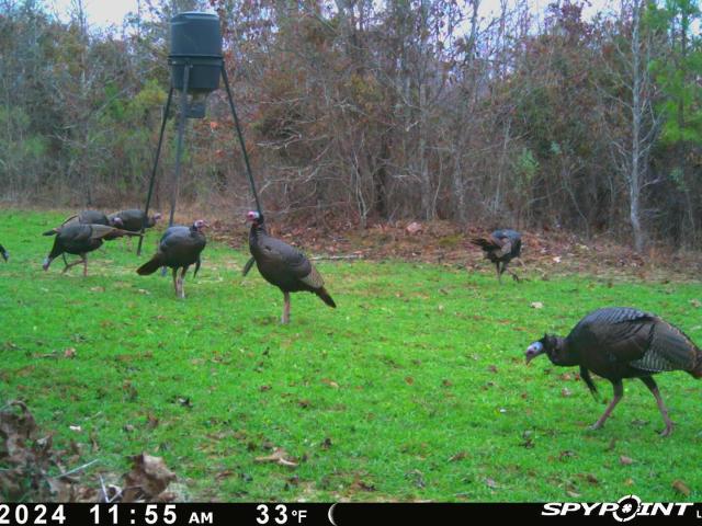 0 County Road 3222