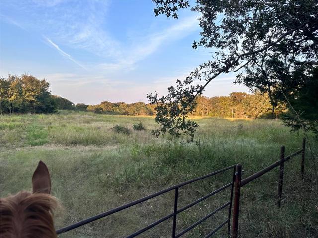 0 County Road 3226, Lone Oak, TX 75453 | MLS #21006