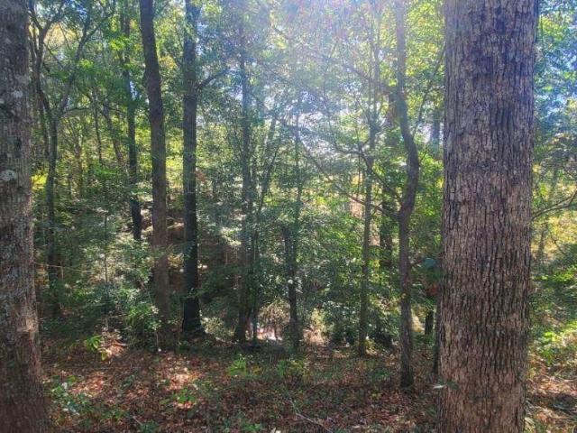 0 county road 3319 lot 6