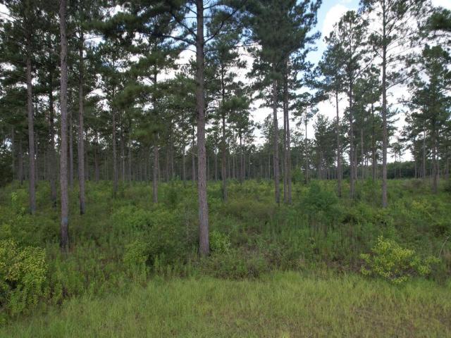 0 County Road 33