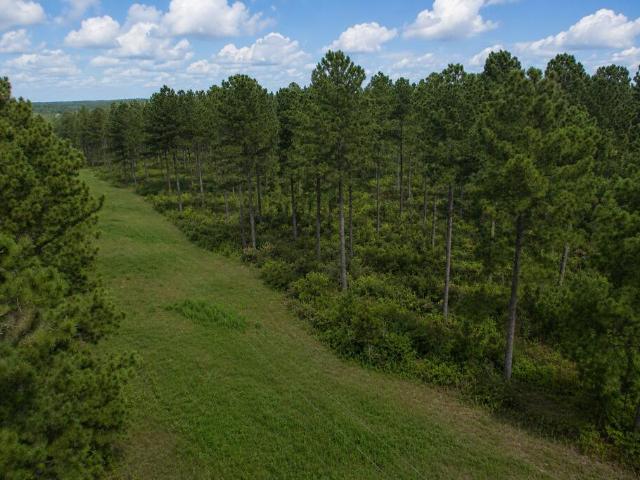 0 County Road 33