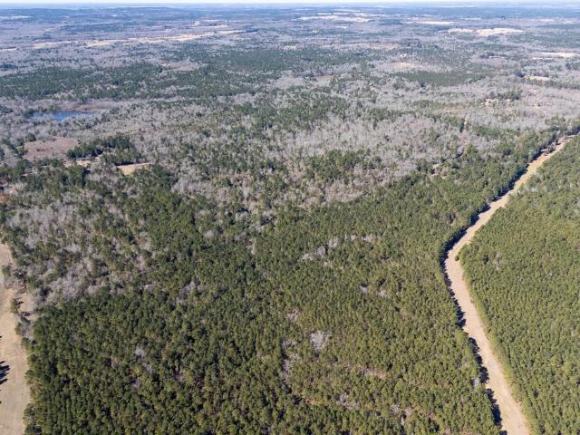 0 County Road 442, Palestine, TX 75803 | MLS #21179