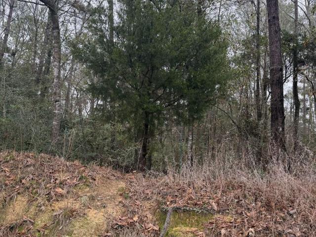 0 County Road 451