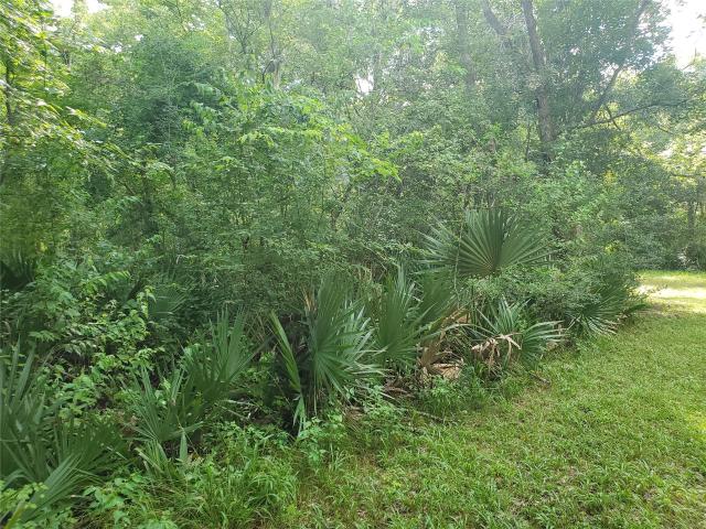 0 County Road 488B