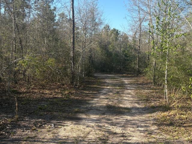 0 County Road 4180, Lovelady, TX 75851 | MLS #68380