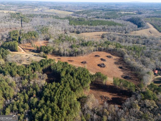 0 County Road 432, Lot L2, Woodland, AL 36280 | MLS #10695