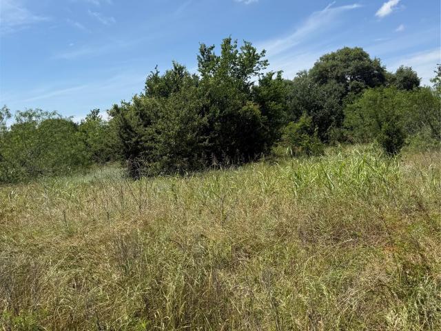 0 County Road 438