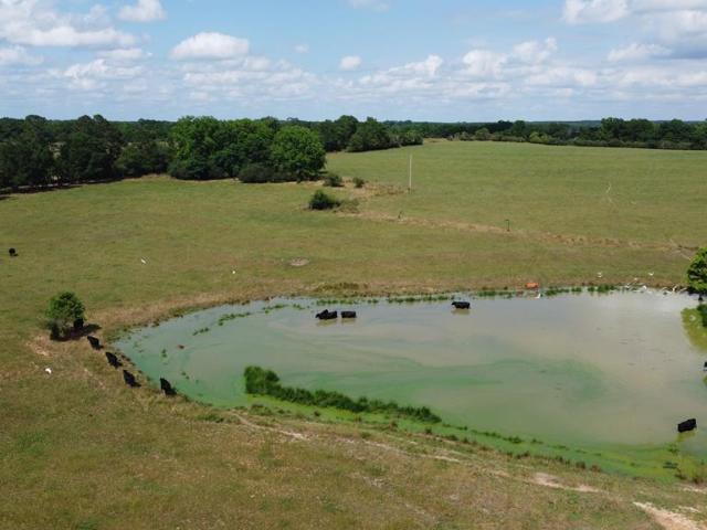 0 County Road 661