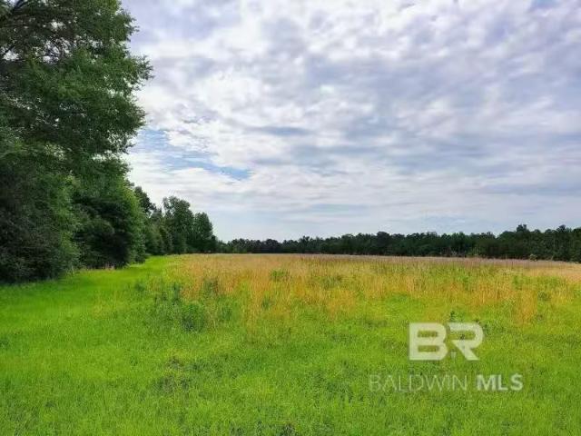 0 COUNTY ROAD 69, COFFEEVILLE, AL 36524 Vacant Land For Sale.